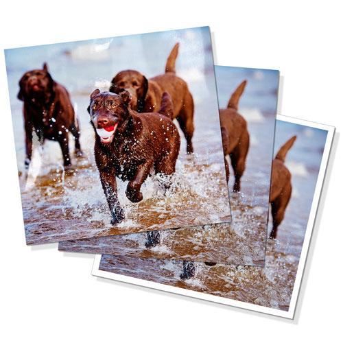 Photo Prints – Heathcotes Photos NZ